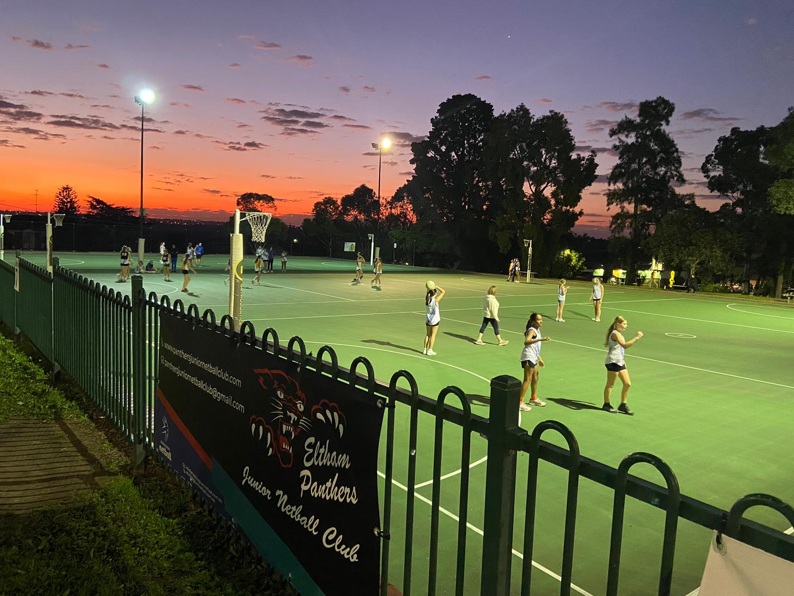 Ode to Netball - Eltham Panthers Netball Club