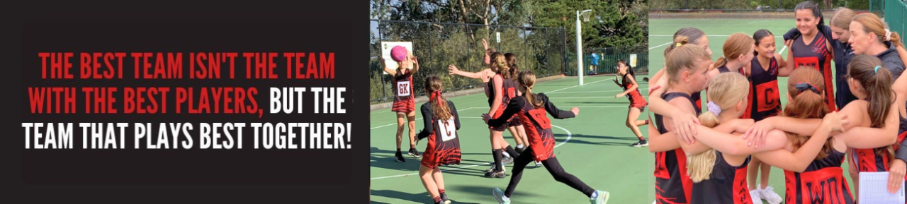 Eltham Netball | Eltham Panthers Netball Club