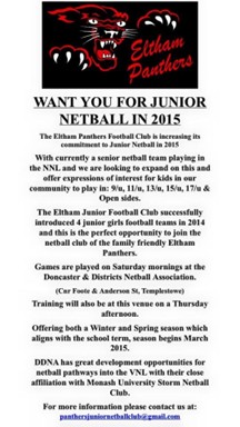 Club History 1 - Eltham Panthers Netball Club