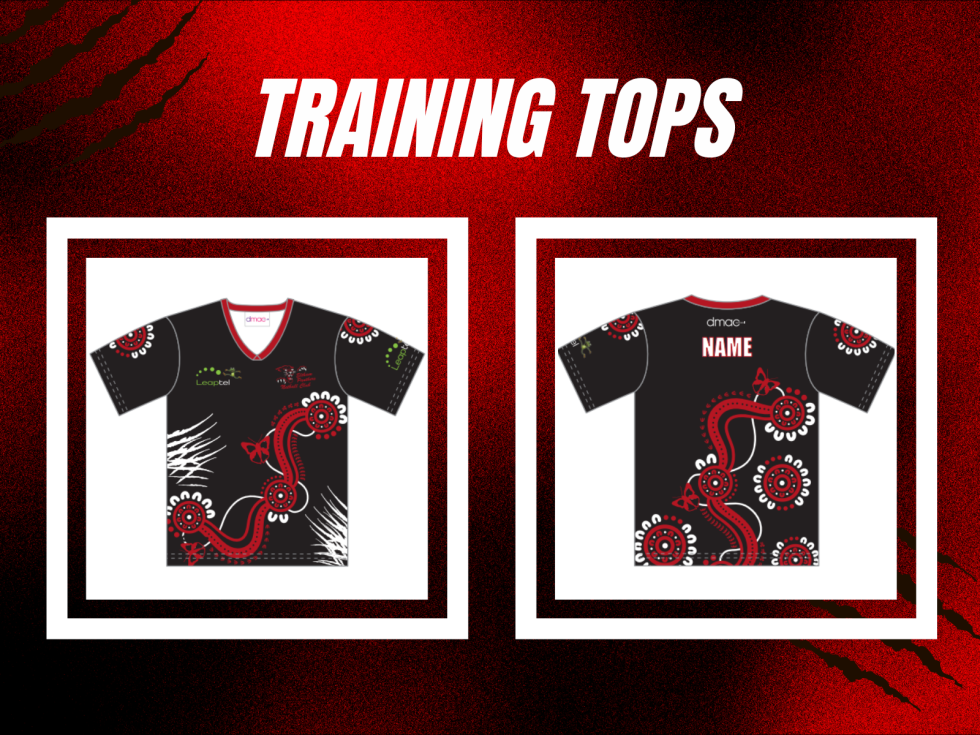 EXCITING UPDATE: A Fresh Approach to Training tops – 2026 and beyond ...